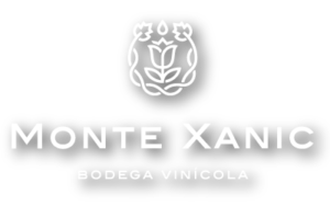 Monte Xanic – Monte Xanic