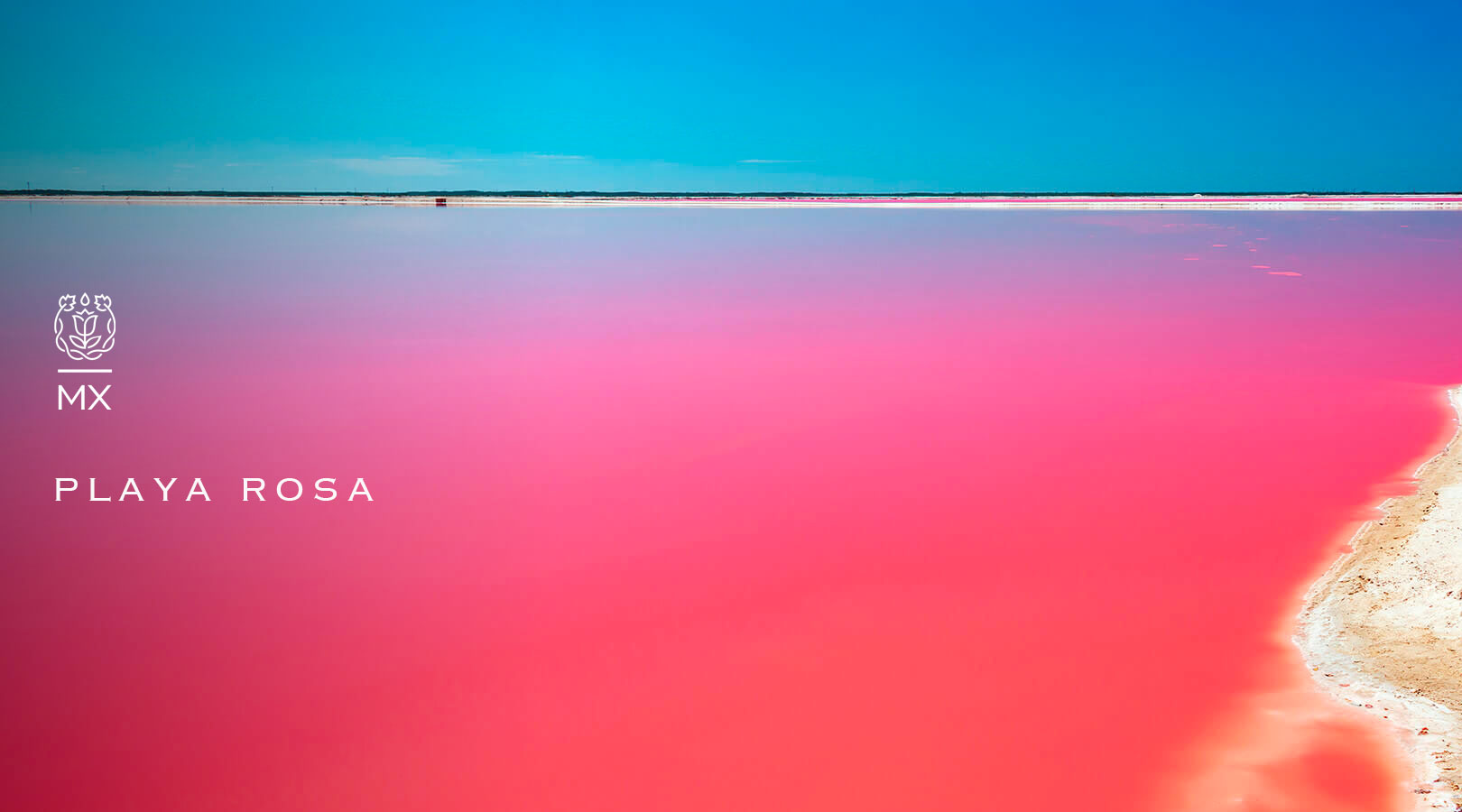 PLAYA ROSA EN ISLA DEL CARMEN – Monte Xanic